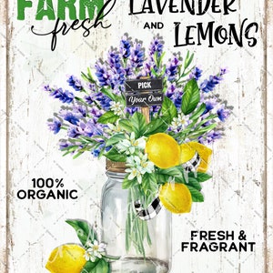 Farmhouse Lavender Bouquet Flowering Lemons Mason Jar Summer Fruit DIY ...