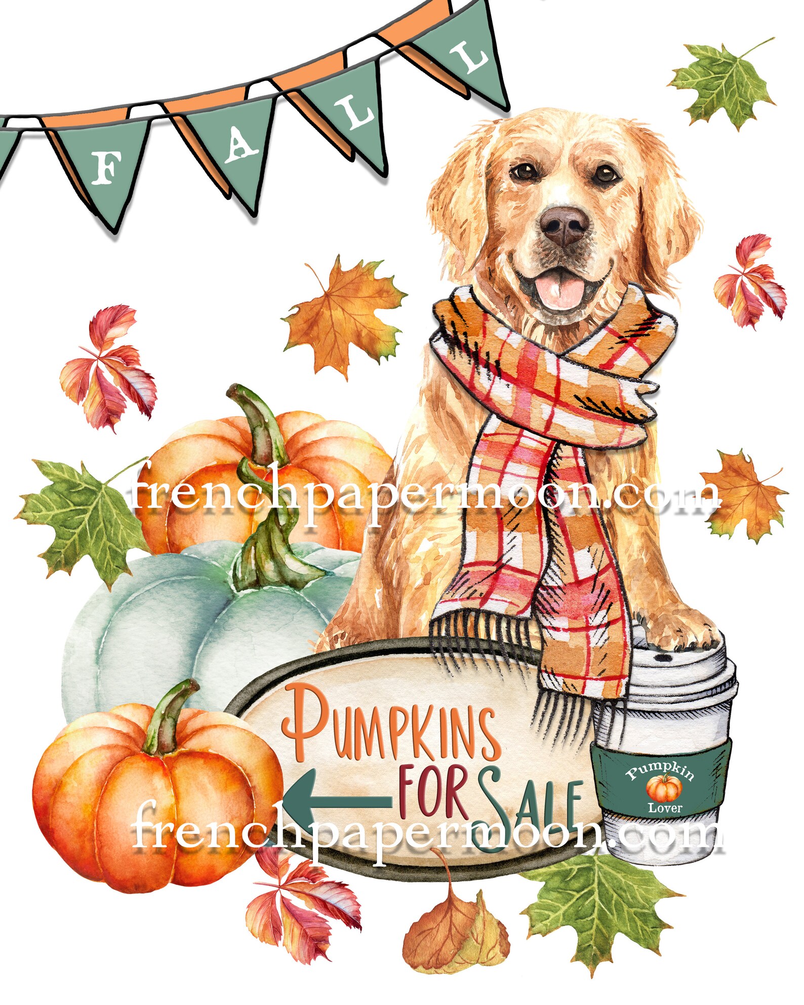 Golden Retriever Fall Print Pumpkins for Sale Pumpkin Latte - Etsy