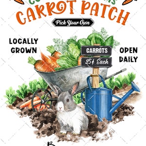 Cottontail Farms Carrot Patch Wheelbarrow Carrots Vegetable Patch Bunny ...