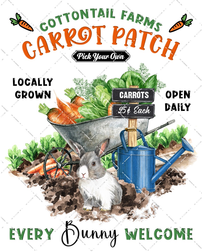 Cottontail Farms Carrot Patch Wheelbarrow Carrots Vegetable - Etsy
