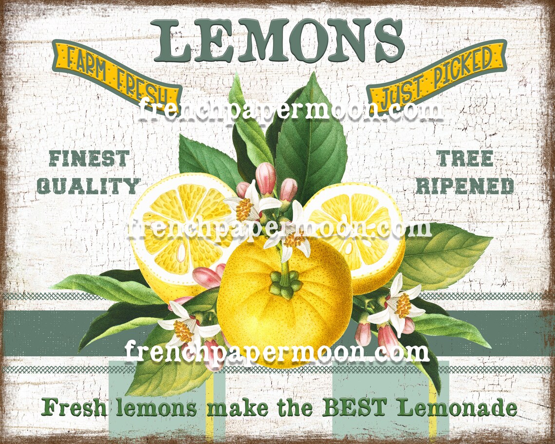 Lemons Modern Farmhouse Digital Botanical Farm | Etsy