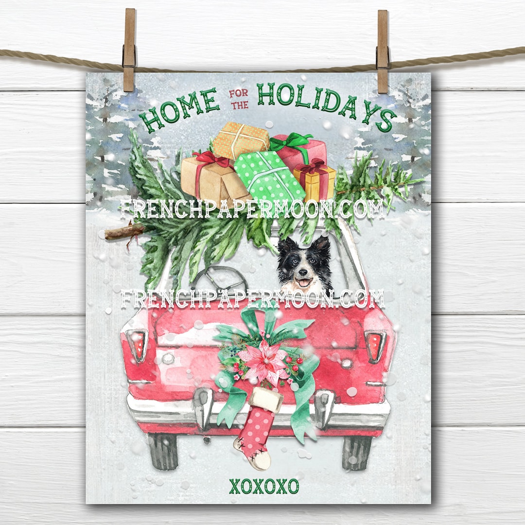 Christmas Dog Printable, Presents, Border Collie, Xmas Tree, Home for ...