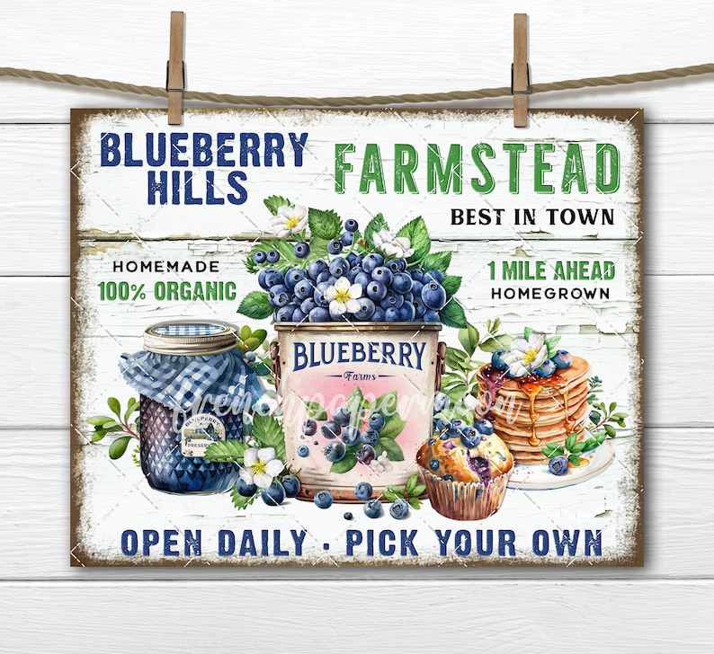 Farm Fresh Blueberries Homemade Jam Blueberry Bucket Muffin Pancake DIY ...