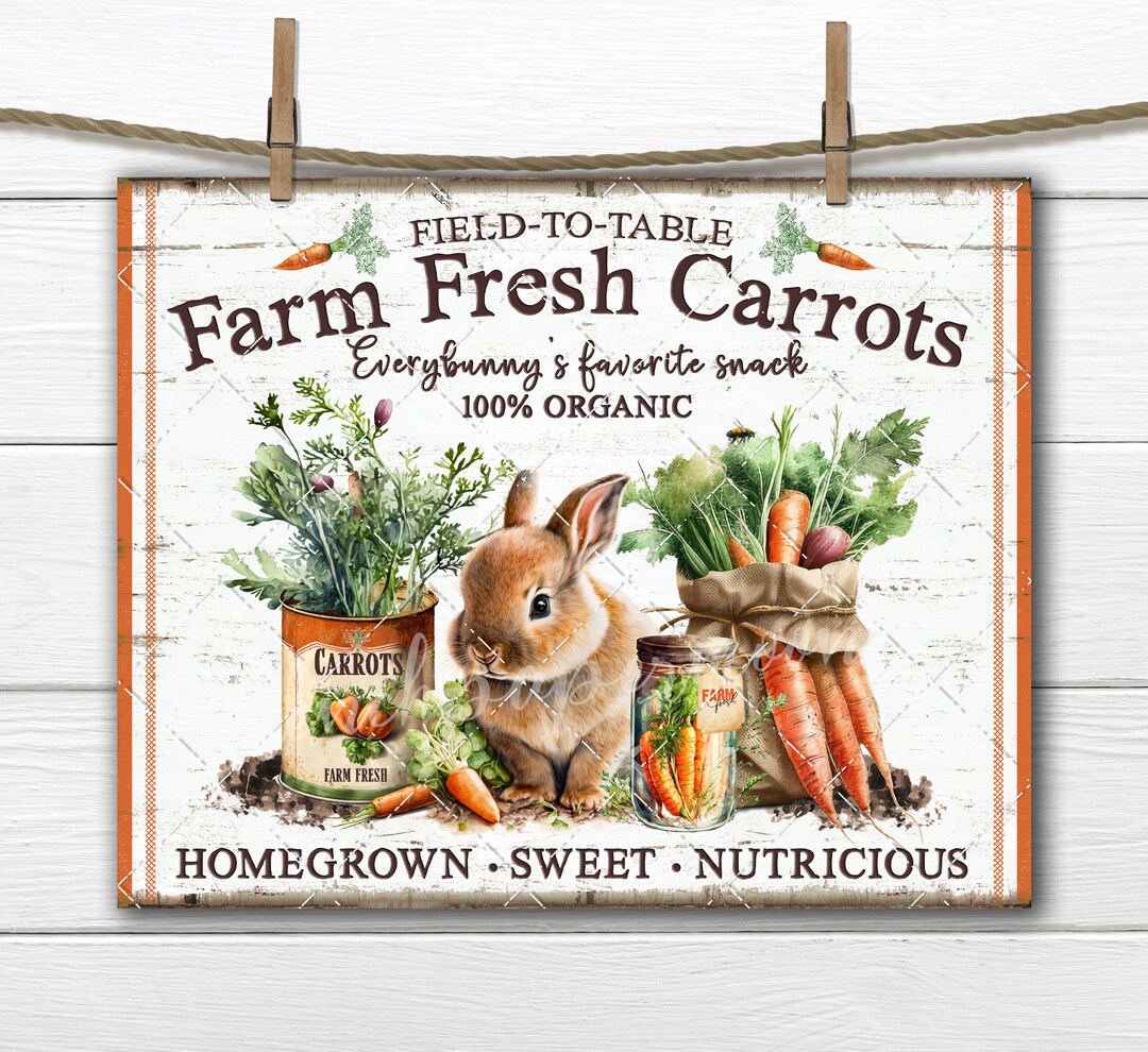 Easter Bunny Carrot Patch Rustic Vintage Shabby DIY Sign Making Fabric ...