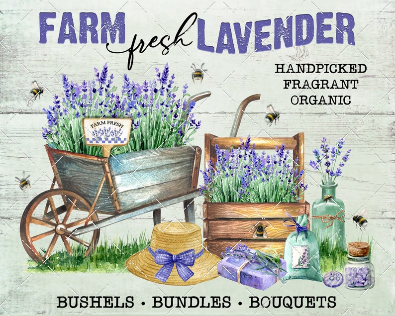 Farmhouse Lavender DIY Sign, Lavender Market, Wheelbarrow Lavender ...