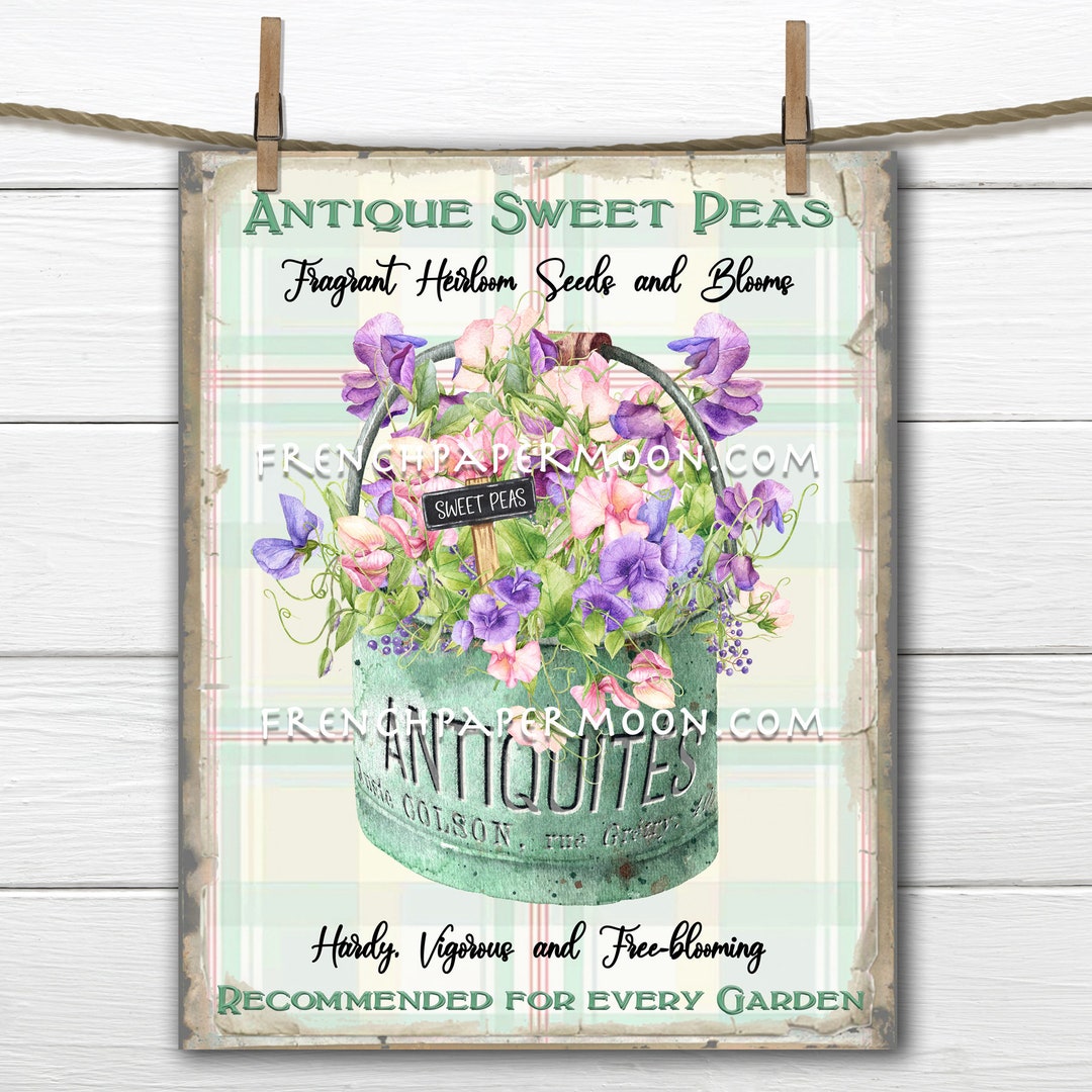 Farmhouse Sweet Peas, Digital, Spring Seeds, Seed Package, DIY Floral ...