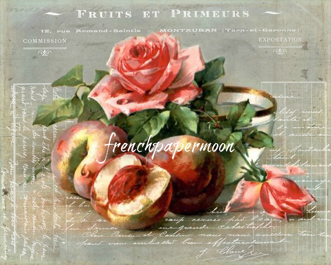 Vintage Digital Fruit Graphic, French Peaches, Roses, Botanical Print ...