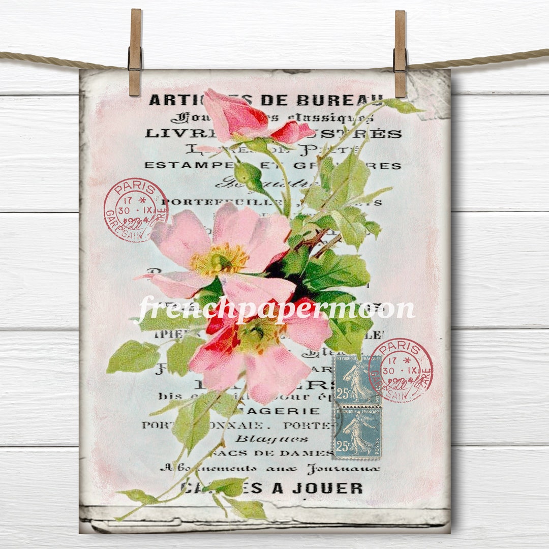 Shabby Chic Digital Roses, French Rose Download, French Rose Collage ...