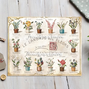 Digital Antique French Graphic, the Language of Flowers, Language De ...