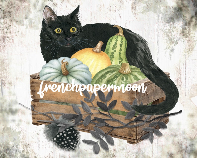 Black Cat Halloween Graphic, Fall Cat Printable, Autumn Harvest ...