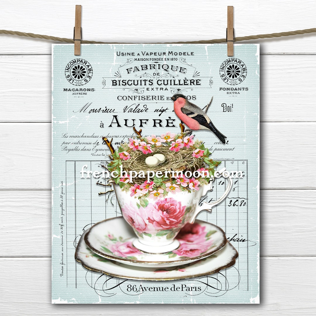 French Teacup Printable, Bird Nest, Eggs, Pink Bird, French Graphic ...