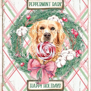 Golden Retriever Christmas Digital, Peppermint Bark Christmas Sign ...