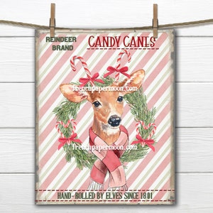 Adorable Christmas Reindeer, Candy Cane, Pink Xmas Print, Baby Deer ...