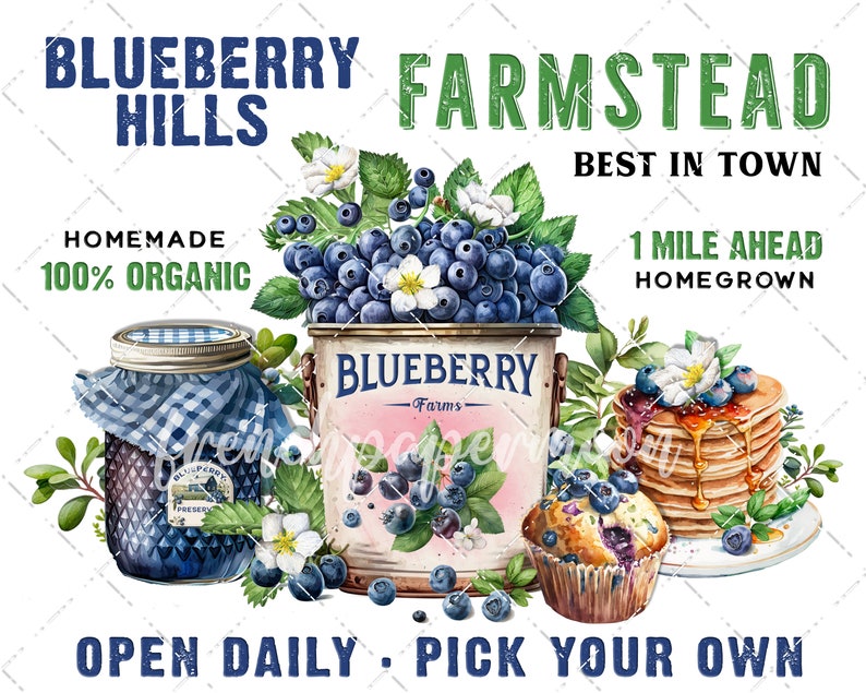Farm Fresh Blueberries Homemade Jam Blueberry Bucket Muffin Pancake DIY ...