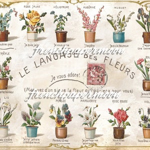 Digital Antique French Graphic, the Language of Flowers, Language De ...