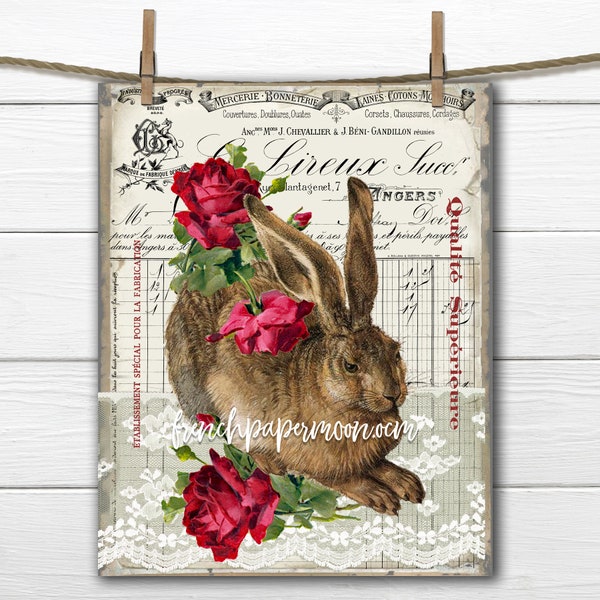 French Rabbit Image - Etsy