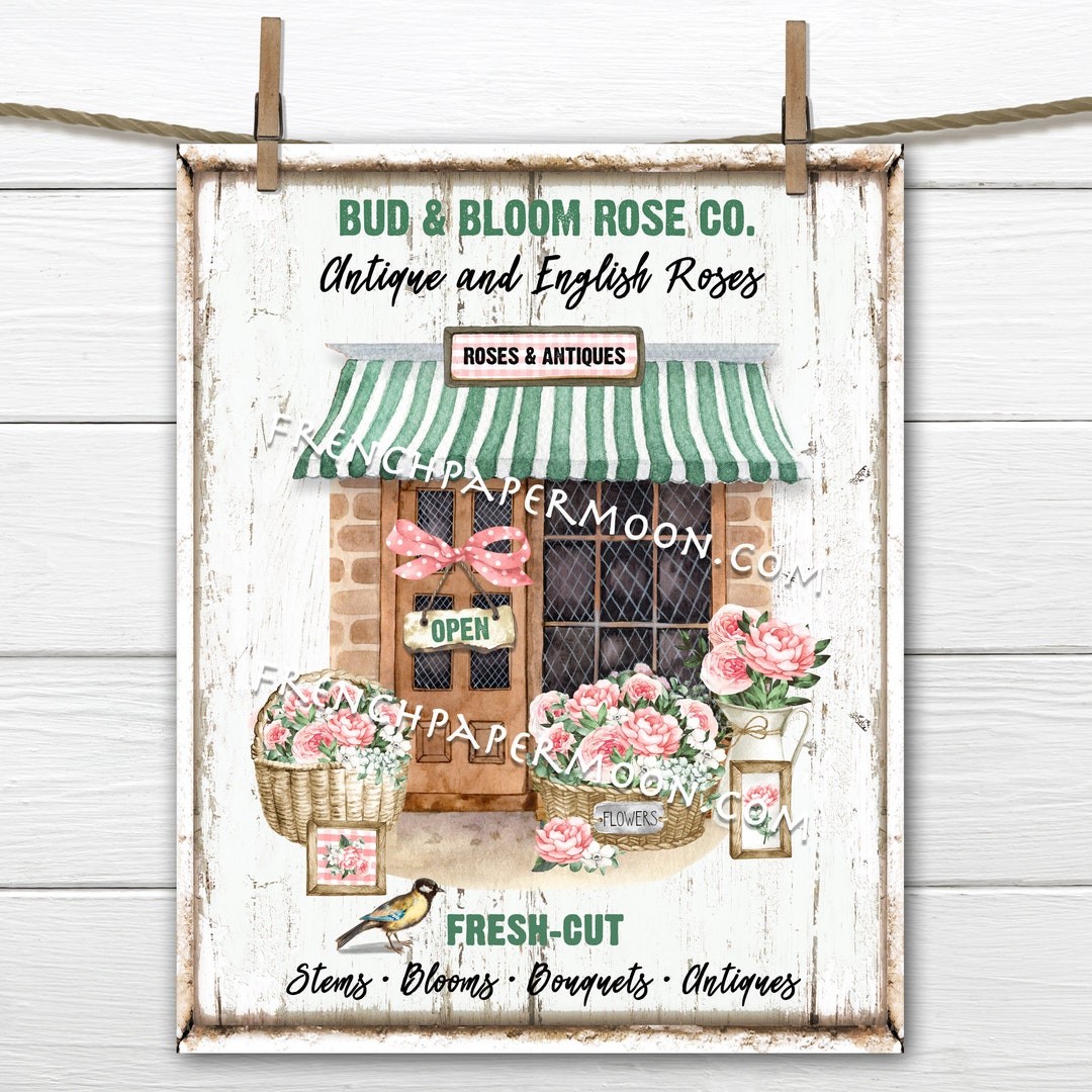 Rose Flower Shop, Farmhouse Roses, Digital, Pink Roses, Fresh Cut ...