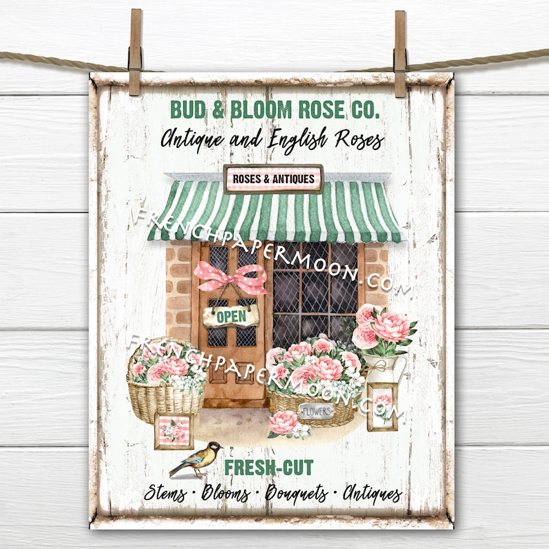 Rose Flower Shop Farmhouse Roses Digital Pink Roses Fresh | Etsy