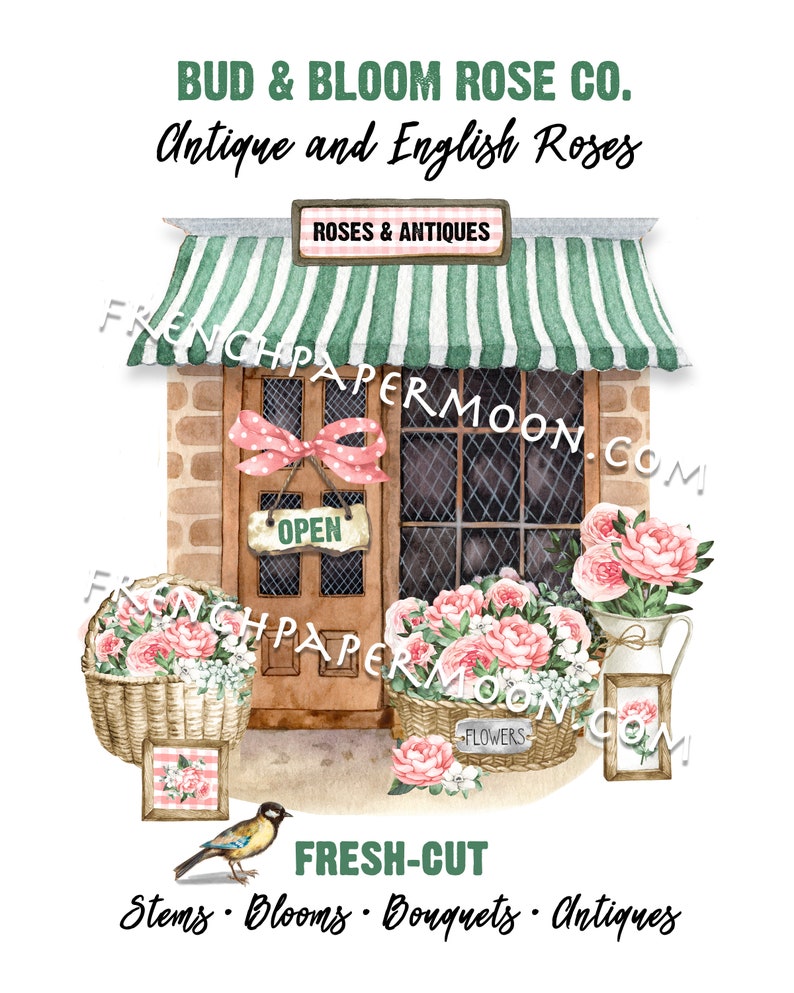 Rose Flower Shop Farmhouse Roses Digital Pink Roses Fresh | Etsy