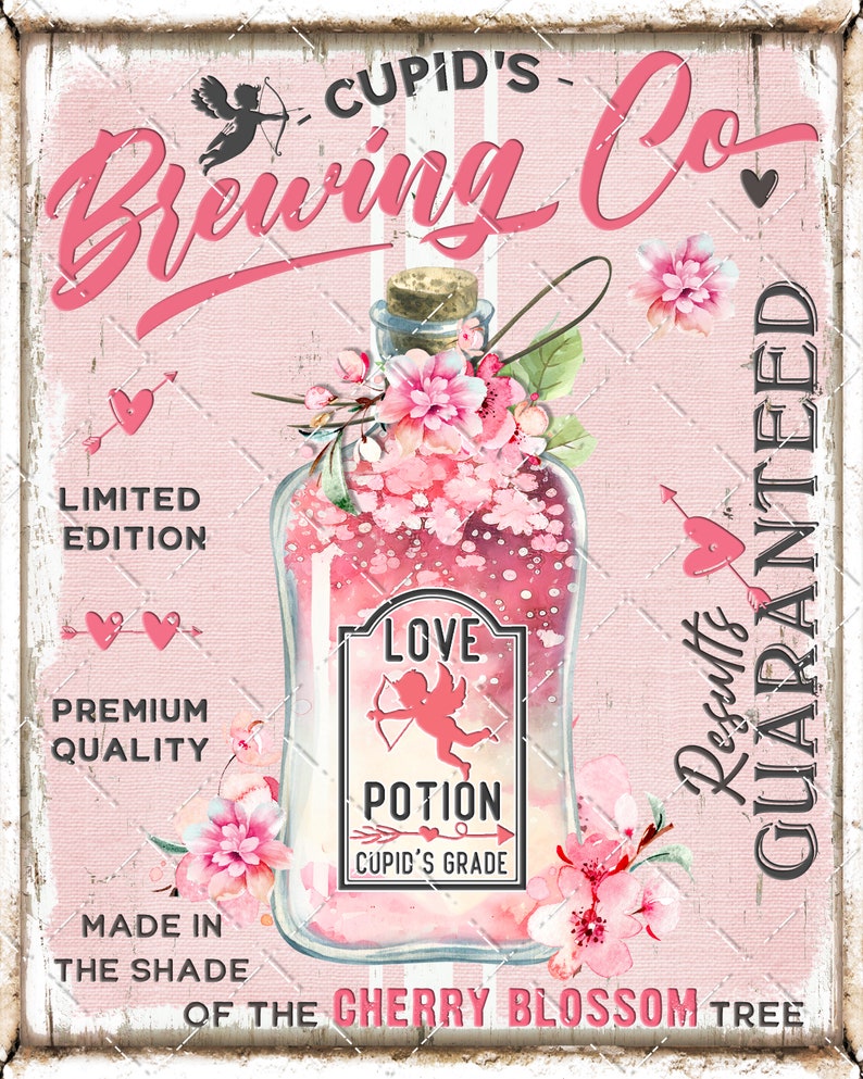 Cupid's Brewing Company Pink Valentine Love Potion Bottle - Etsy