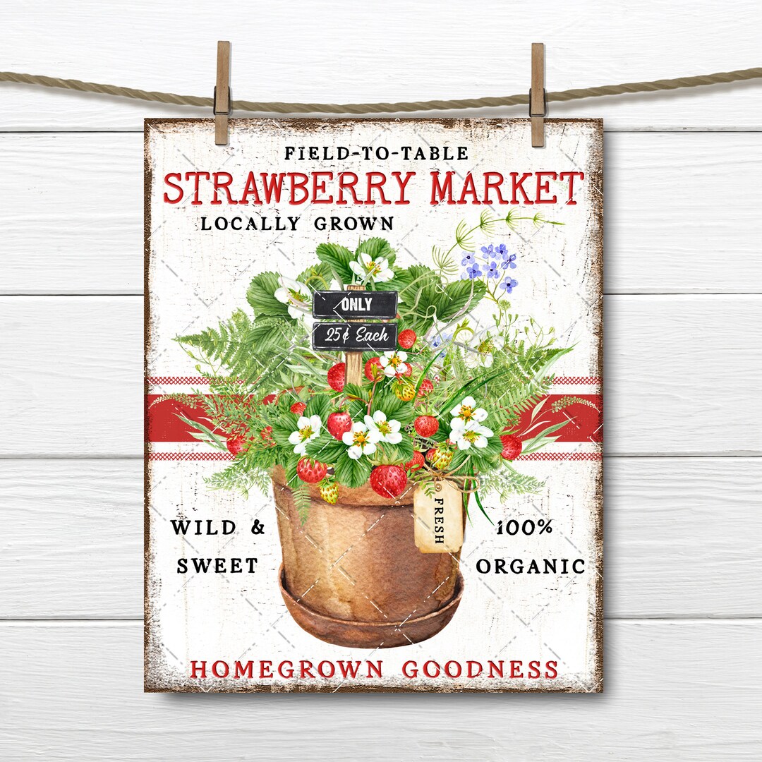 Strawberry Farm DIY Sign, Strawberry Market, Farmhouse Summer Fruit ...