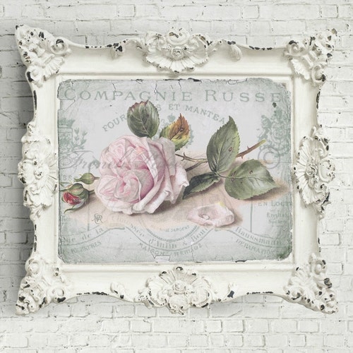 Rose Cottage Digital Printable Shabby Chic Roses Romantic - Etsy
