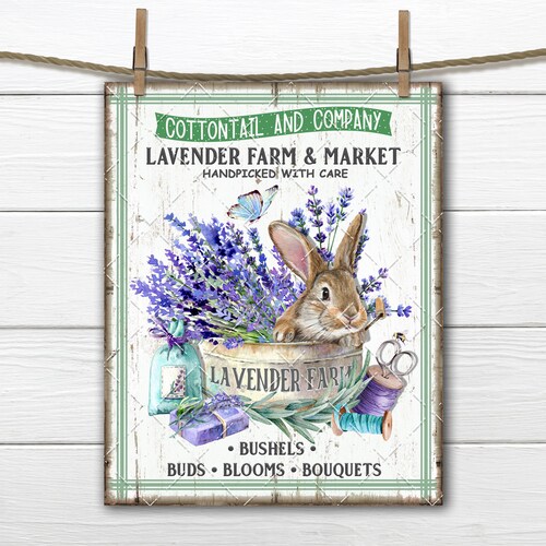 Farmhouse Lavender DIY Lavender Sign Spring Bunny Lavender - Etsy