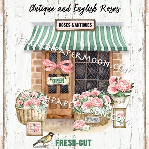 Rose Flower Shop, Farmhouse Roses, Digital, Pink Roses, Fresh Cut ...