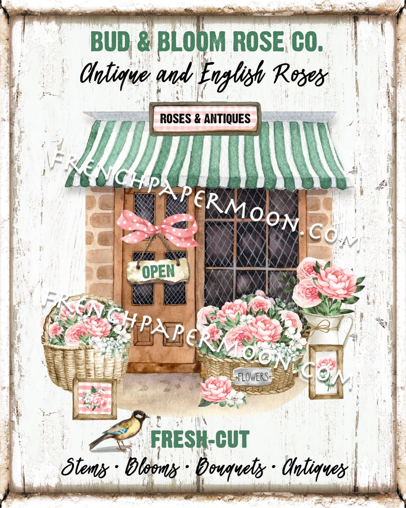 Rose Flower Shop Farmhouse Roses Digital Pink Roses Fresh | Etsy