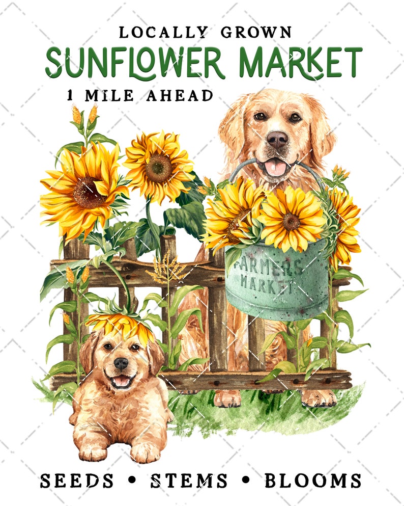 Sunflower Market Sign Golden Retriever Dogs Farmhouse DIY - Etsy