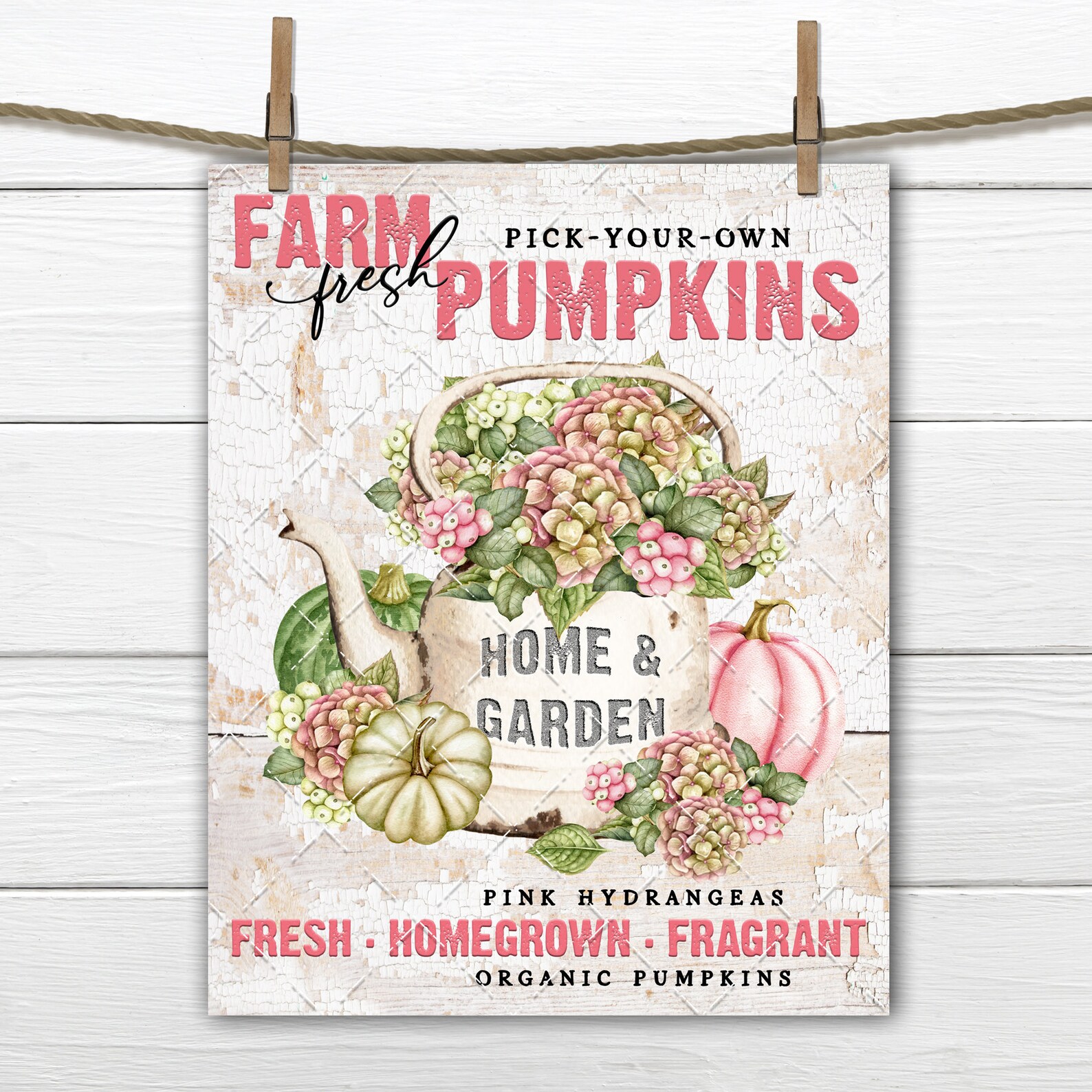 Rustic Shabby Farmhouse Blush Hydrangeas, Pumpkins, Fall Flowers, DIY ...