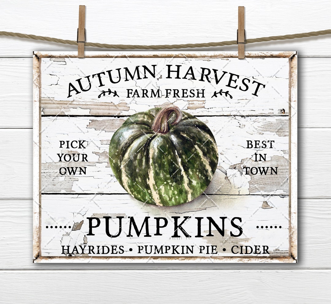 Autumn Harvest Pumpkin Sign, Farmhouse Fall Pumpkin Wall Art Sign, DIY ...