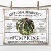 Autumn Harvest Pumpkin Sign, Farmhouse Fall Pumpkin Wall Art Sign, DIY ...