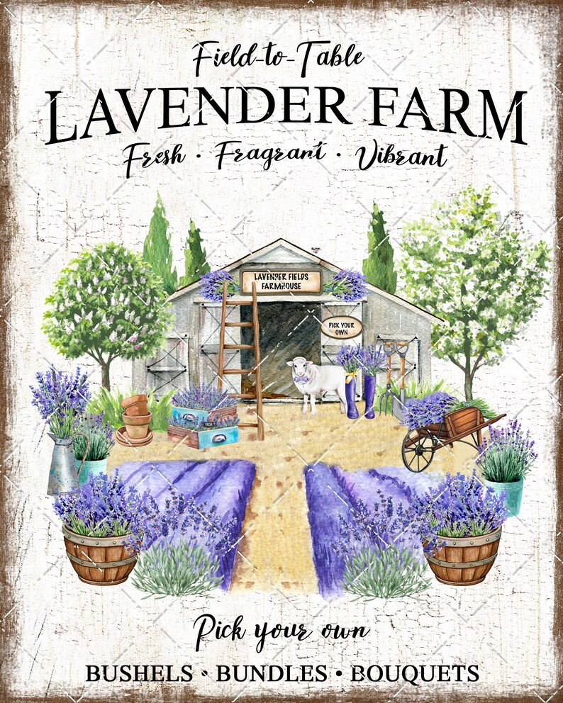 Lavender Farm DIY Sign, Farmhouse Lavender, Lavender Field Landscape ...