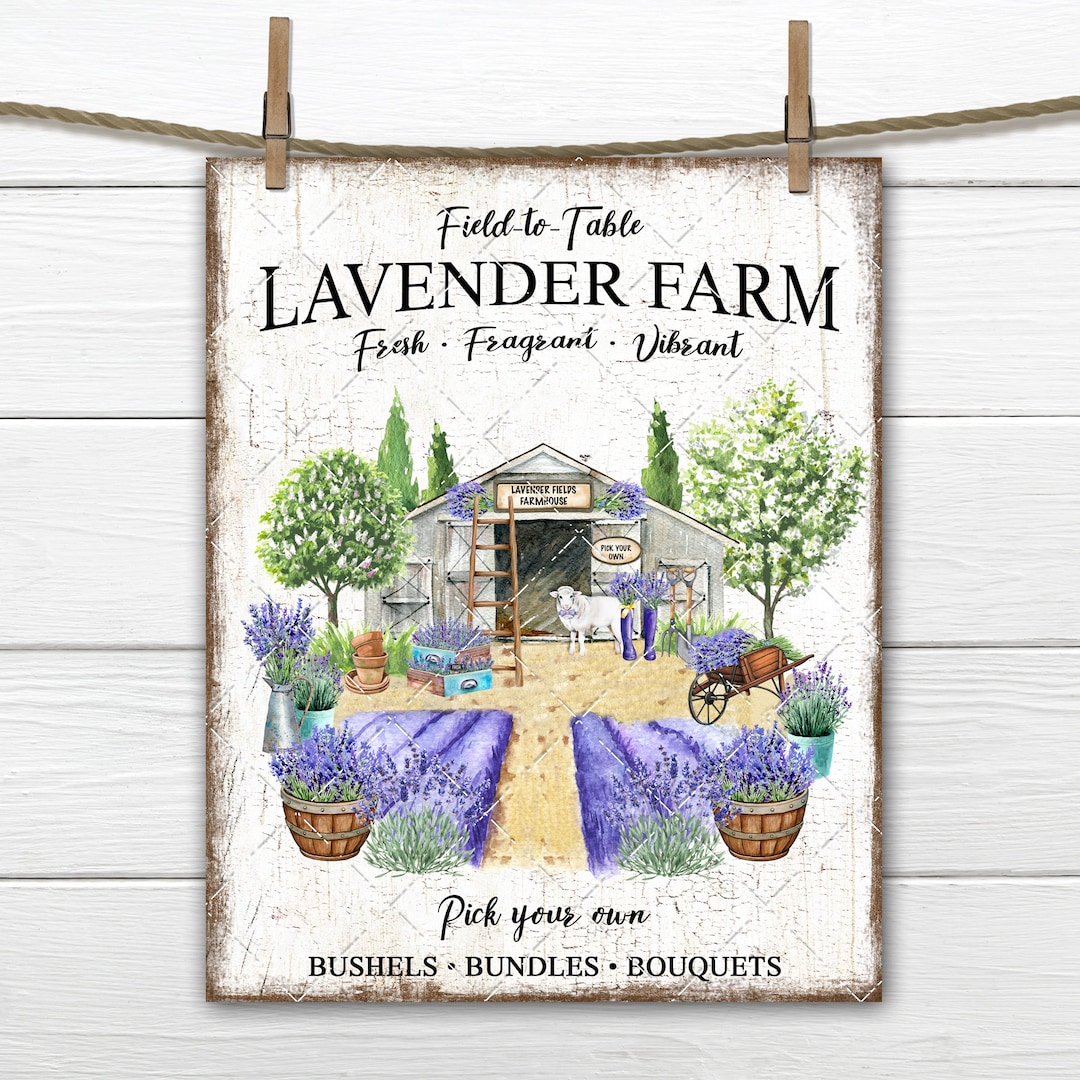 Lavender Farm DIY Sign, Farmhouse Lavender, Lavender Field Landscape ...
