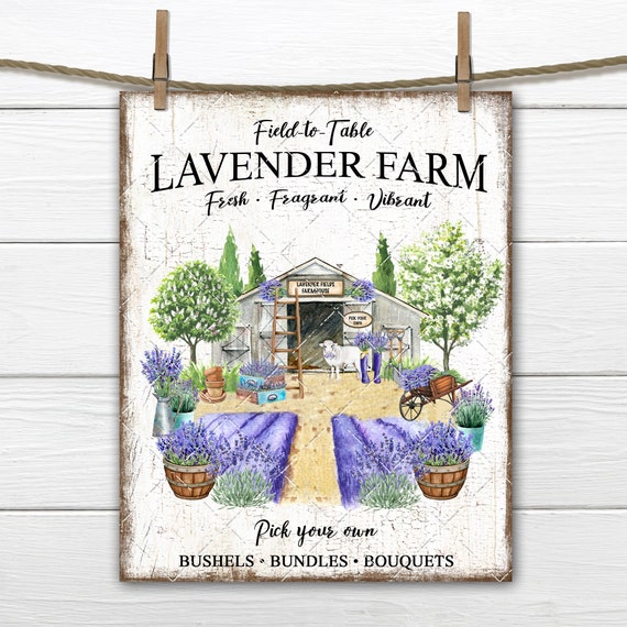 Lavender Farm DIY Sign Farmhouse Lavender Lavender Field | Etsy