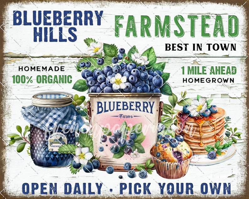 Farm Fresh Blueberries Homemade Jam Blueberry Bucket Muffin Pancake DIY ...