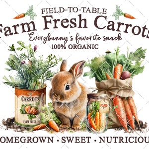 Easter Bunny Carrot Patch Rustic Vintage Shabby DIY Sign Making Fabric ...