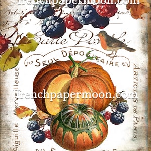 Vintage French Pumpkin Digital, Pumpkins, Woodland, Fall Berries ...