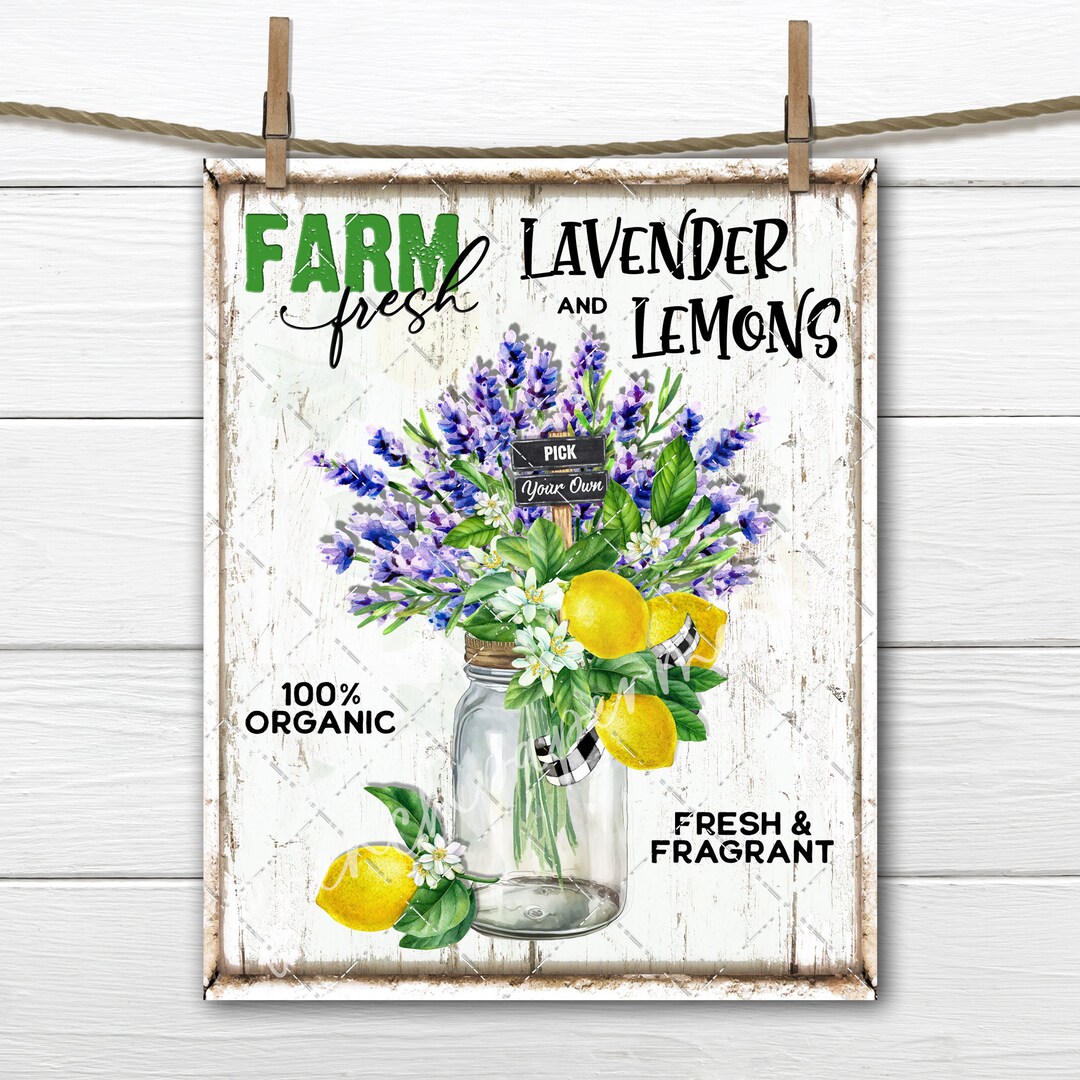 Farmhouse Lavender Bouquet Flowering Lemons Mason Jar Summer Fruit DIY ...