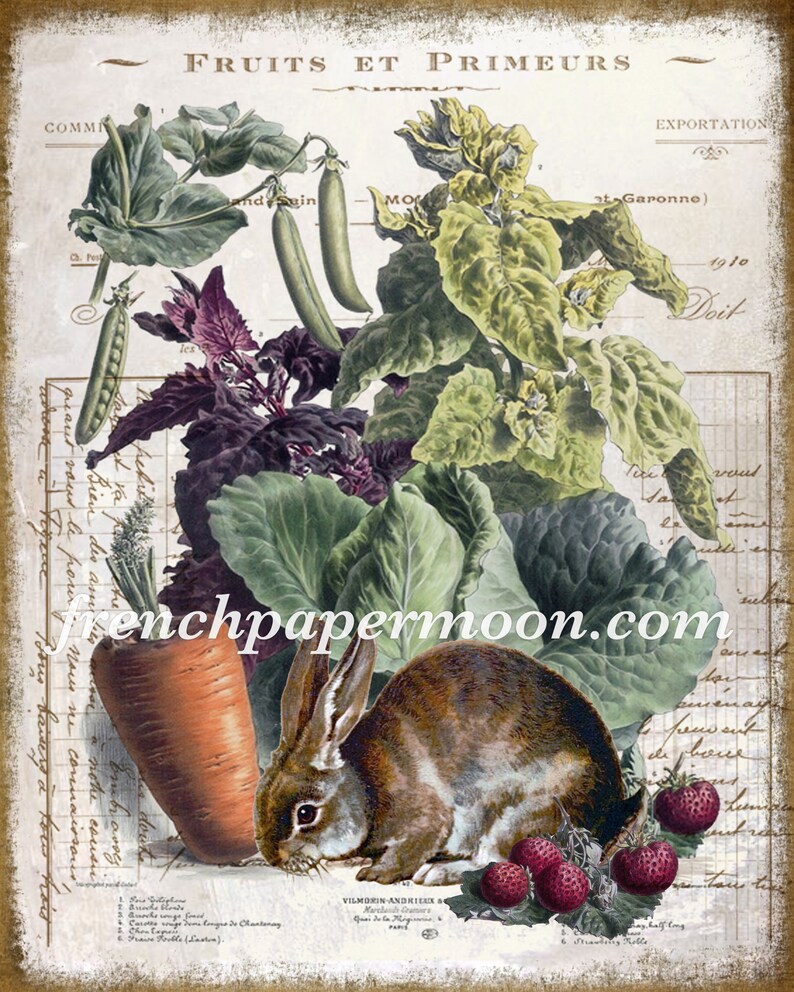 French Vegetable Printable, Bunny, Rabbit, Fall Vegetables, Vintage ...