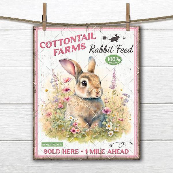 Easter Bunny Rabbit - Etsy