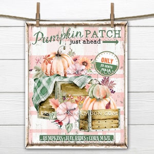 Modern Farmhouse Pumpkin Patch, Pumpkin Crates, Pastel Pumpkins, Home ...