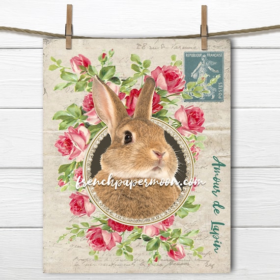 Digital French Bunny Easter Bunny Spring Rabbit Printable | Etsy