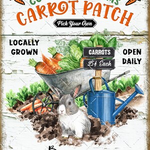 Cottontail Farms Carrot Patch Wheelbarrow Carrots Vegetable Patch Bunny ...