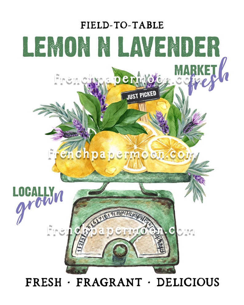 Farmhouse Scale Summer Lemons Lavender DIY Lemon Market - Etsy
