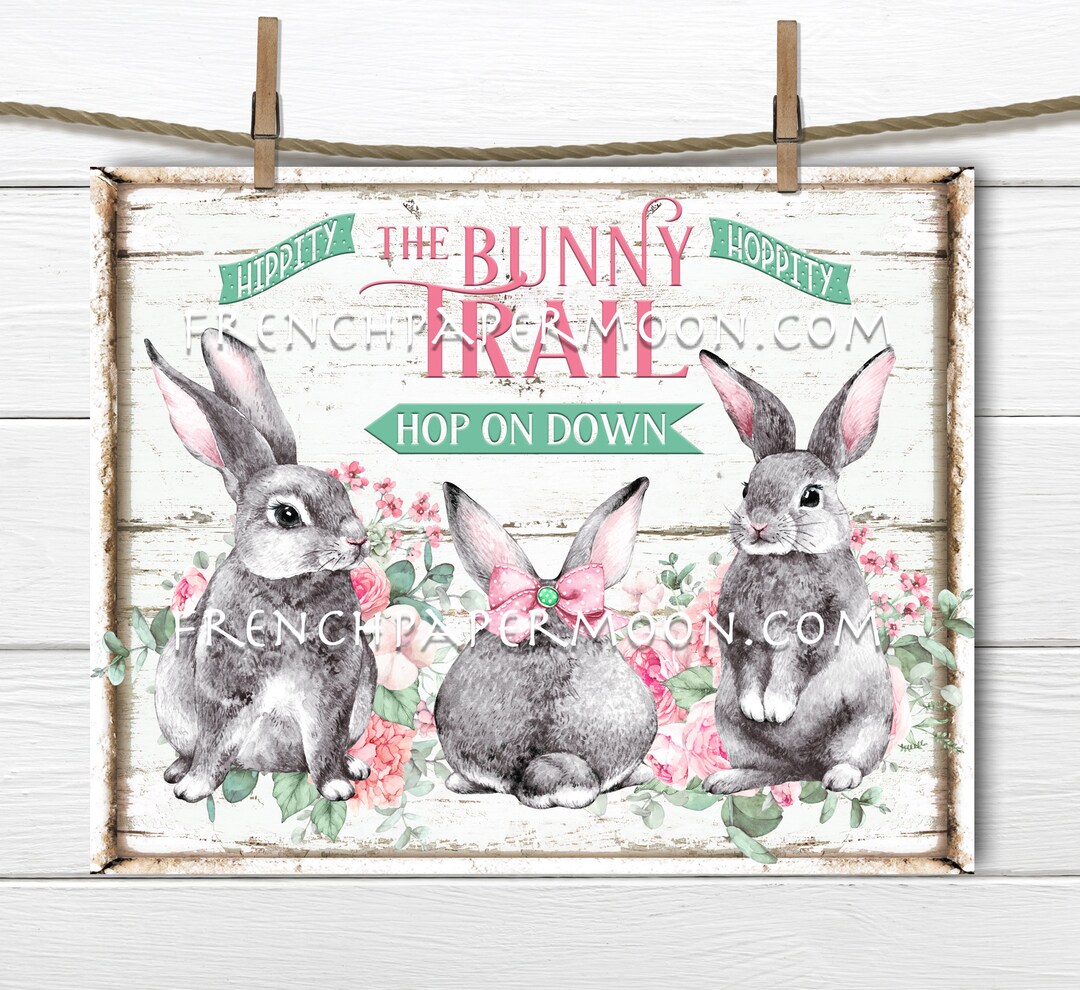 Easter Bunnies, Bunny Trail, Spring Bunnies, DIY Easter Sign, Spring ...