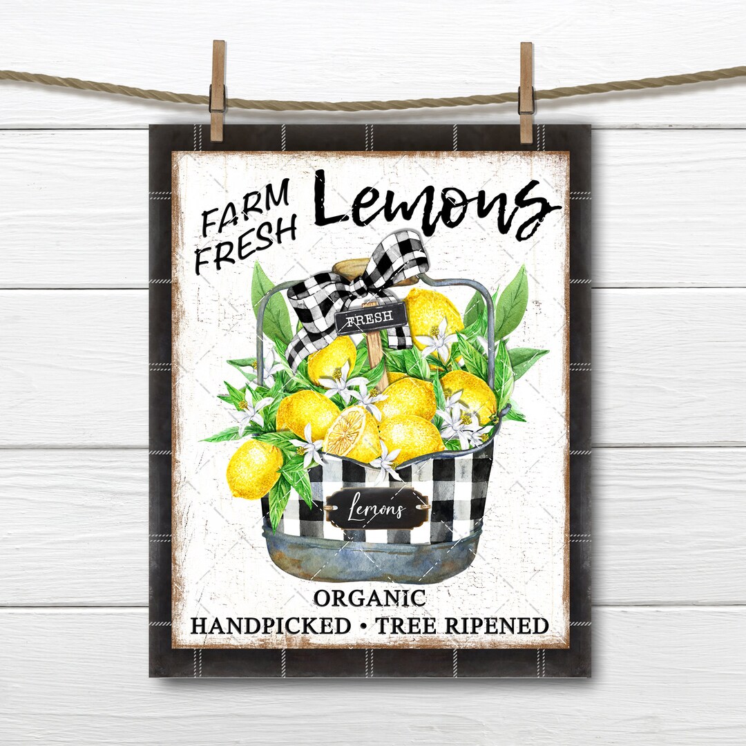 Farmhouse Lemon Sign, Farm Fresh Lemons, Black Plaid, Lemon Basket ...