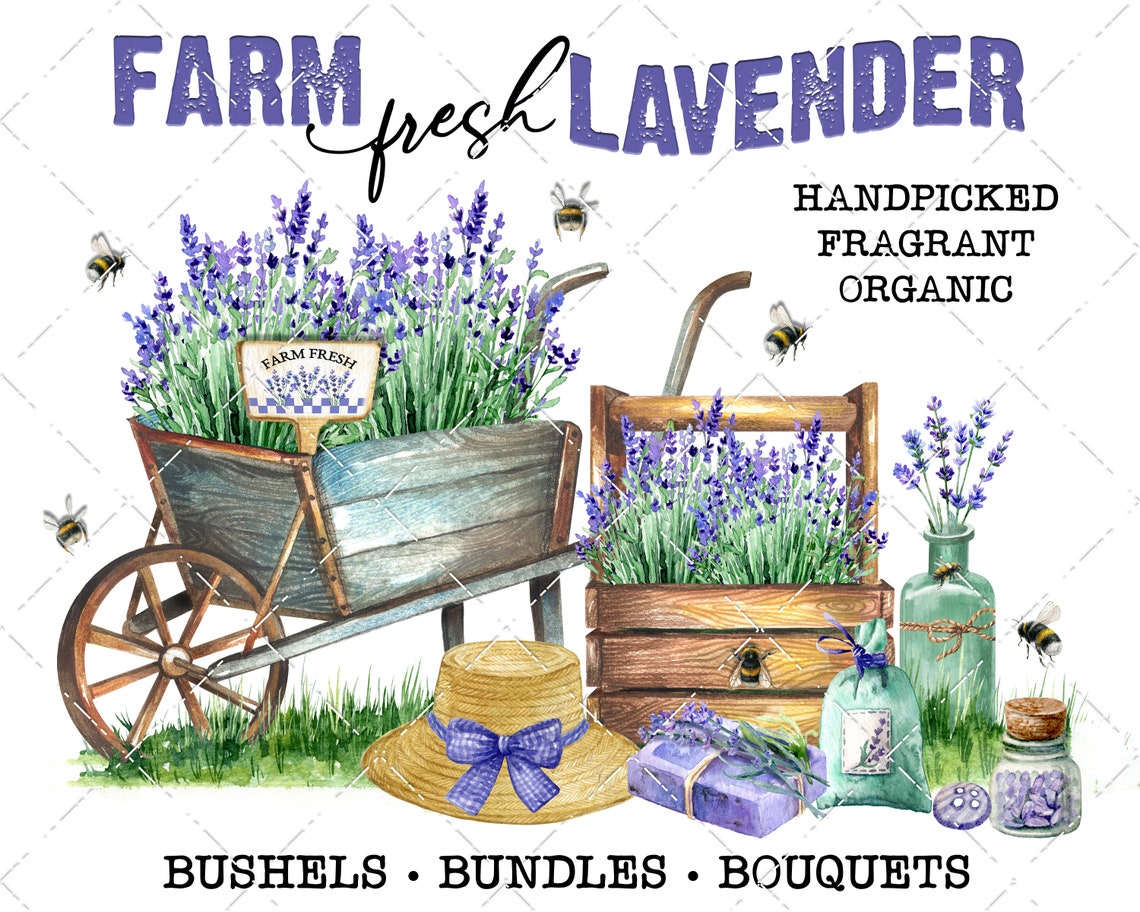 Farmhouse Lavender DIY Sign Lavender Market Wheelbarrow - Etsy