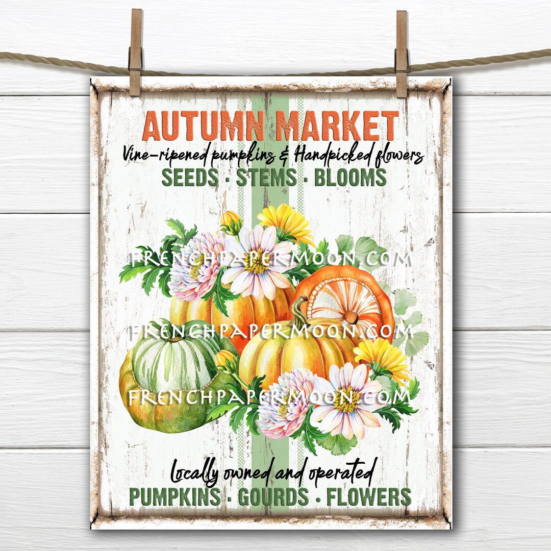 Autumn Market Sign Pumpkins Chrysanthemums Pumpkin Vase Bright Fall ...